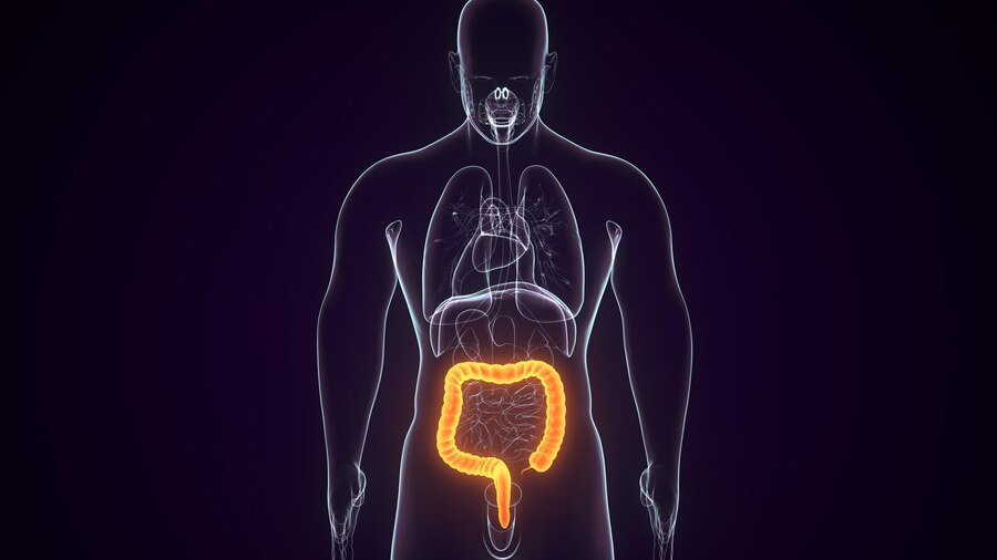 SIGNS THAT YOUR INTESTINE NEEDS URGENT HELP - Smart Nutrition International